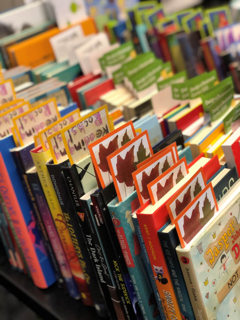 Eco-Library Pop-up - The Bentway