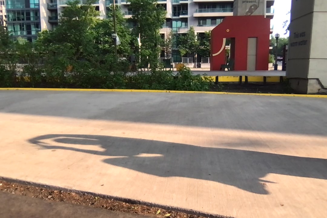 Attend our Dance in Public Space Showcase - The Bentway